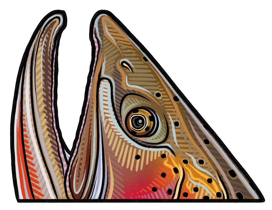 Underwood - Surface Series | Mountain Fly Shop - Fort Collins Fly Fishing